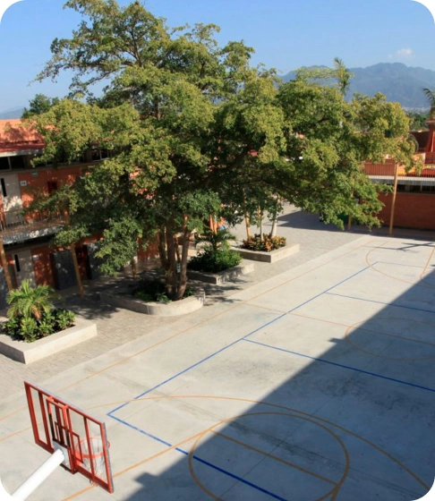 Inicio - Instituto Tepeyac